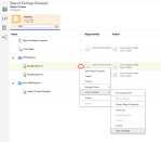 Creating a Basic EPM Narrative Reporting Package – Random EPM Notes